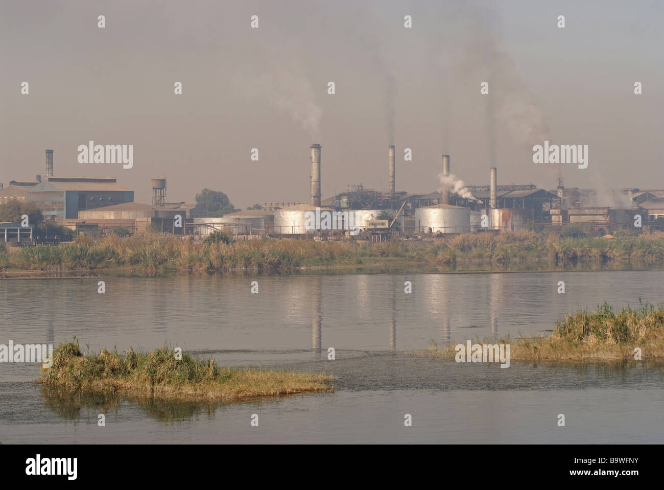 Egypt Nile River sugar cane being processed at a factory Stock Photo ...