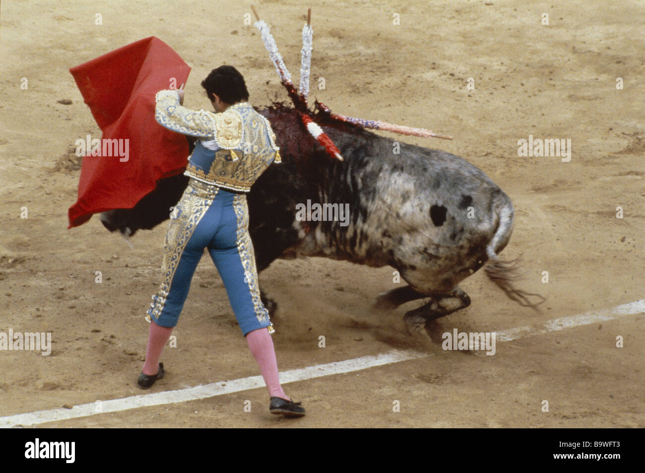Man with bull neck hi-res stock photography and images - Alamy