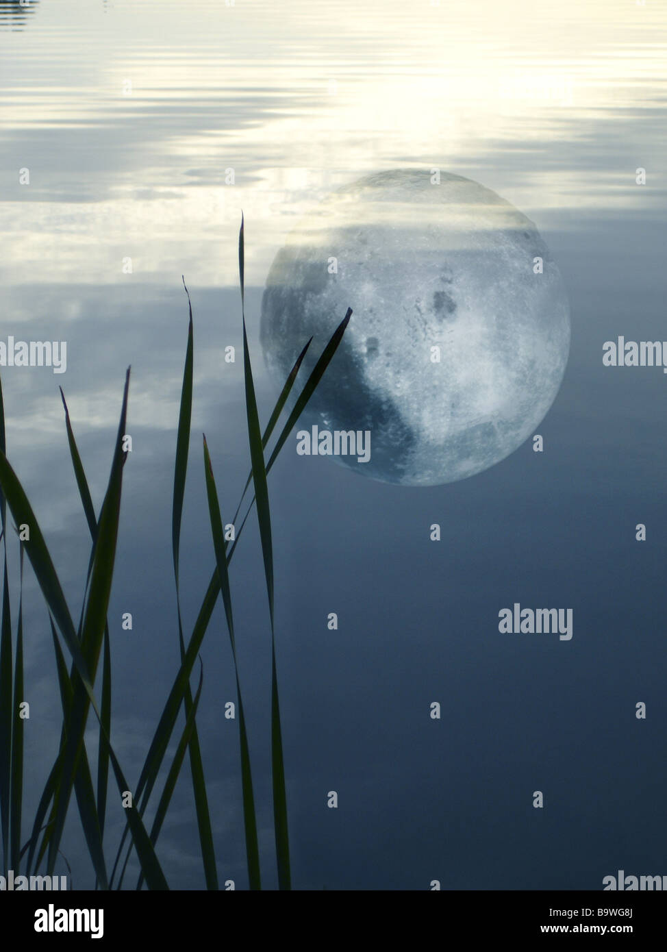 River Book Cover High Resolution Stock Photography and Images - Alamy