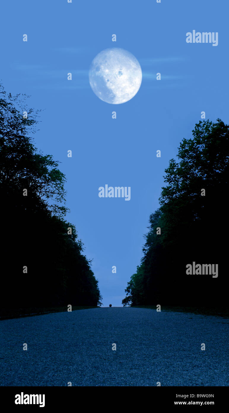 Moonlight trees eerie hi-res stock photography and images - Alamy