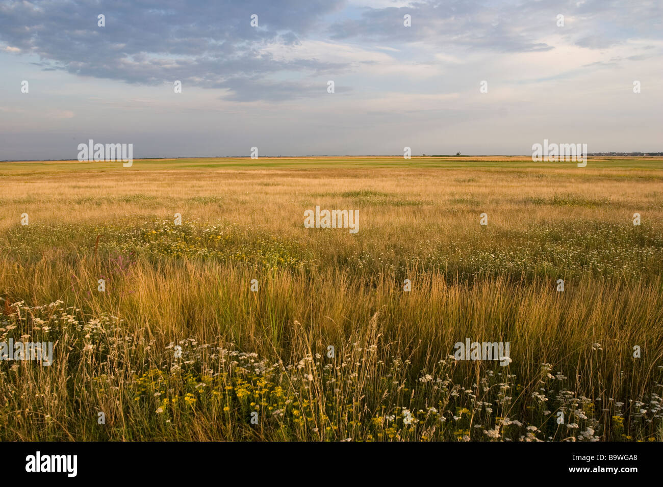 Well Puszta grassland Stock Photo - Alamy