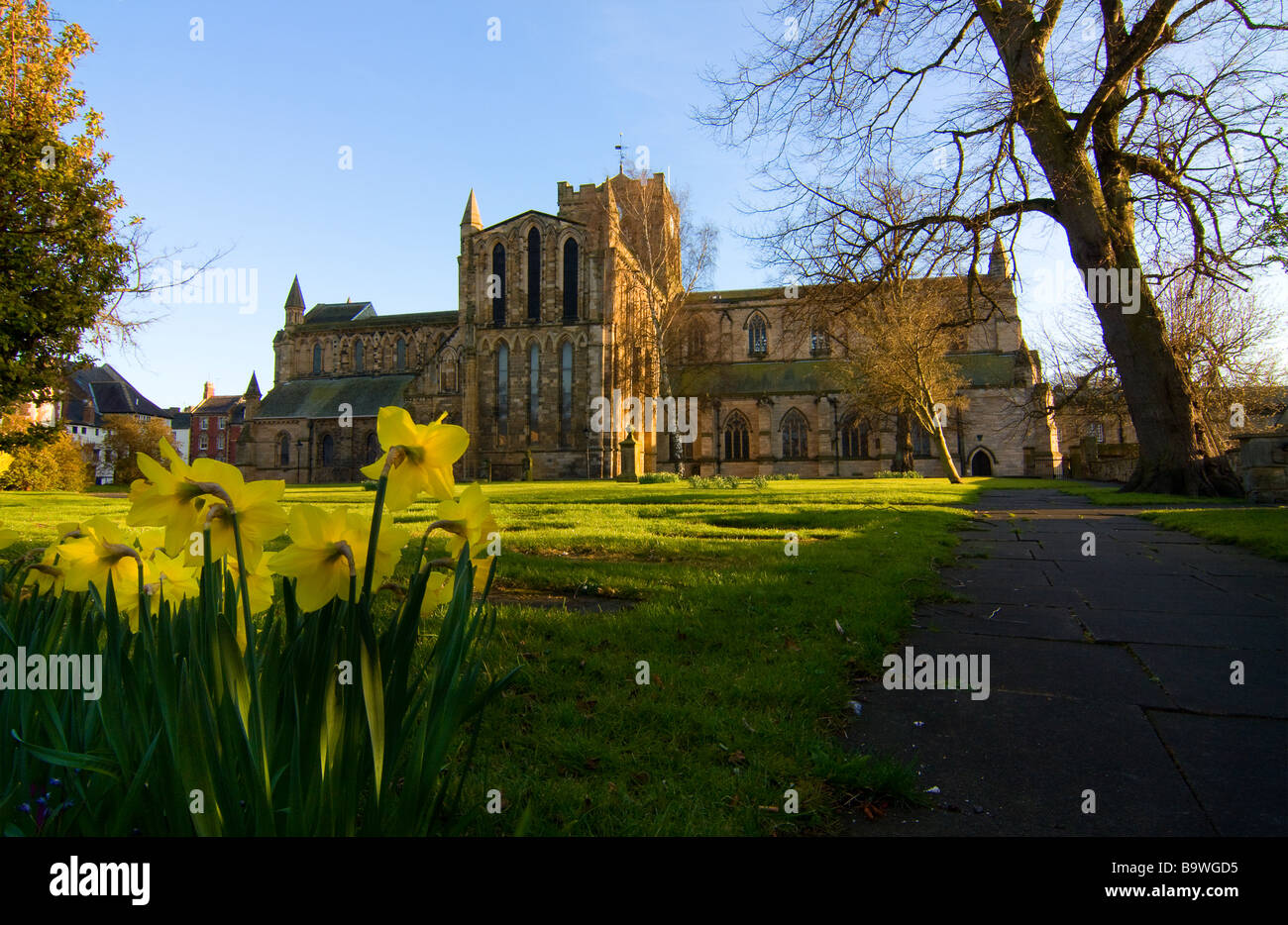 Hexham bridge landscape hi-res stock photography and images - Alamy