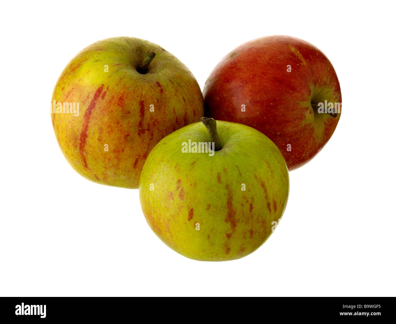 Three english cox apples hi-res stock photography and images - Alamy