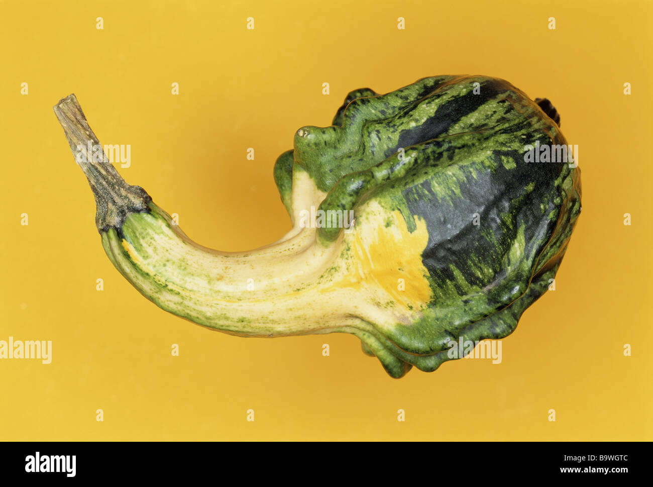 Knotted forms hi-res stock photography and images - Alamy