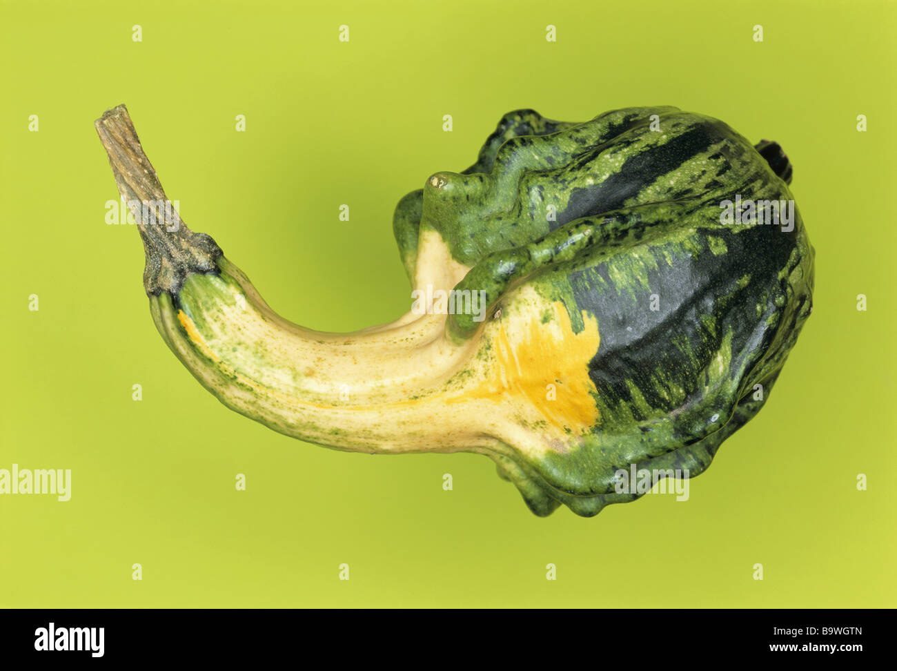 Knotted forms hi-res stock photography and images - Alamy