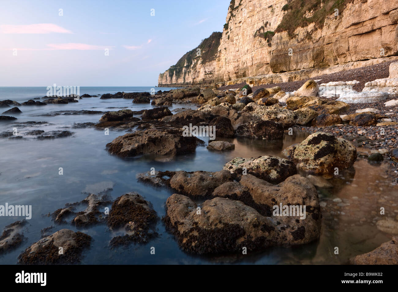 Beer in devon hi-res stock photography and images - Alamy
