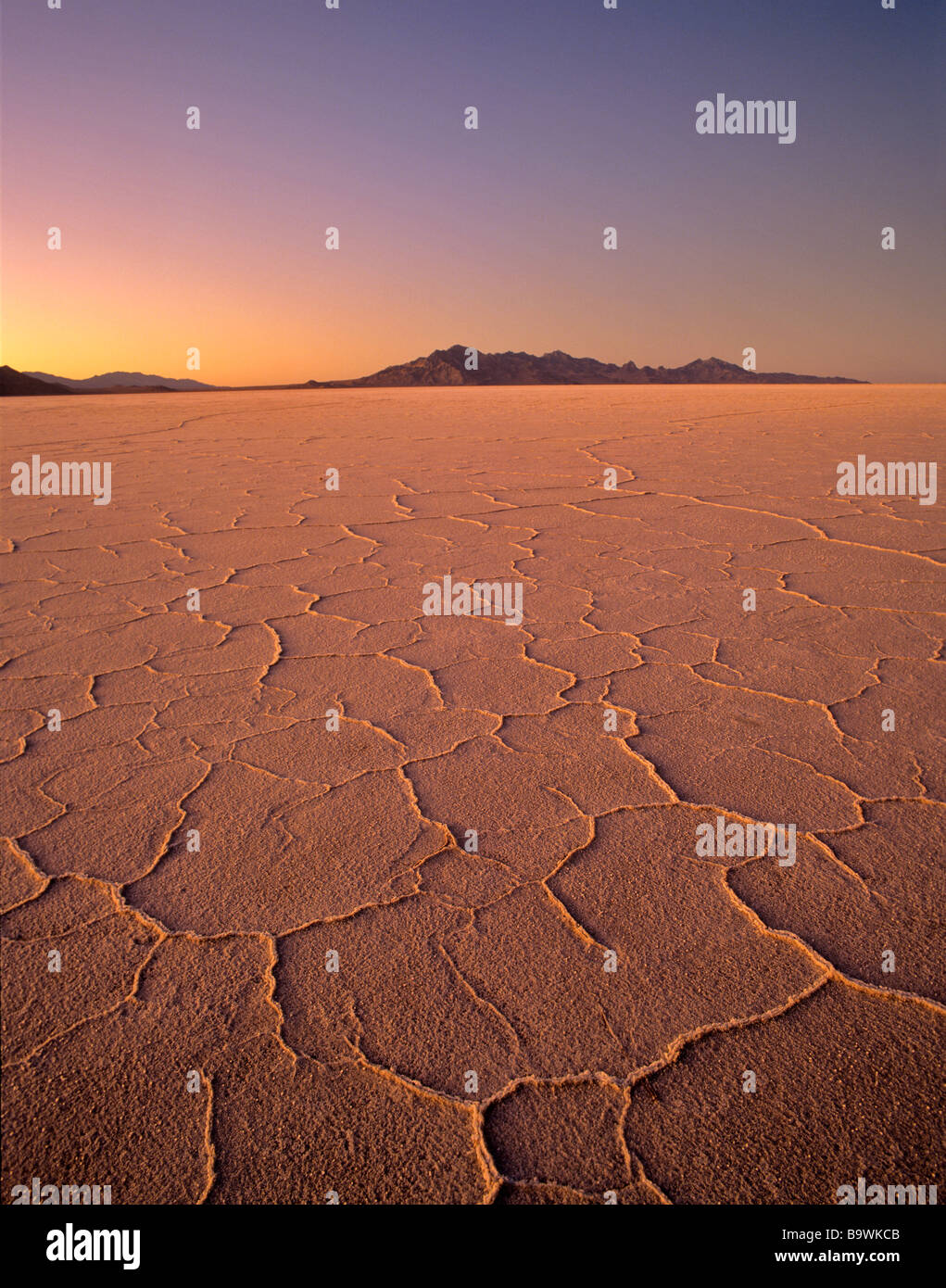 Bonneville Salt Flats at sunset Utah Stock Photo - Alamy