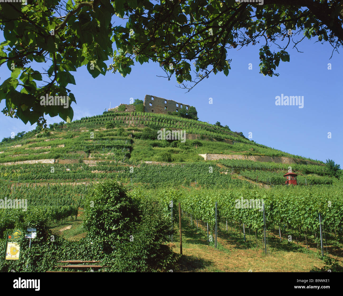 Staufen castle ruin hi-res stock photography and images - Alamy
