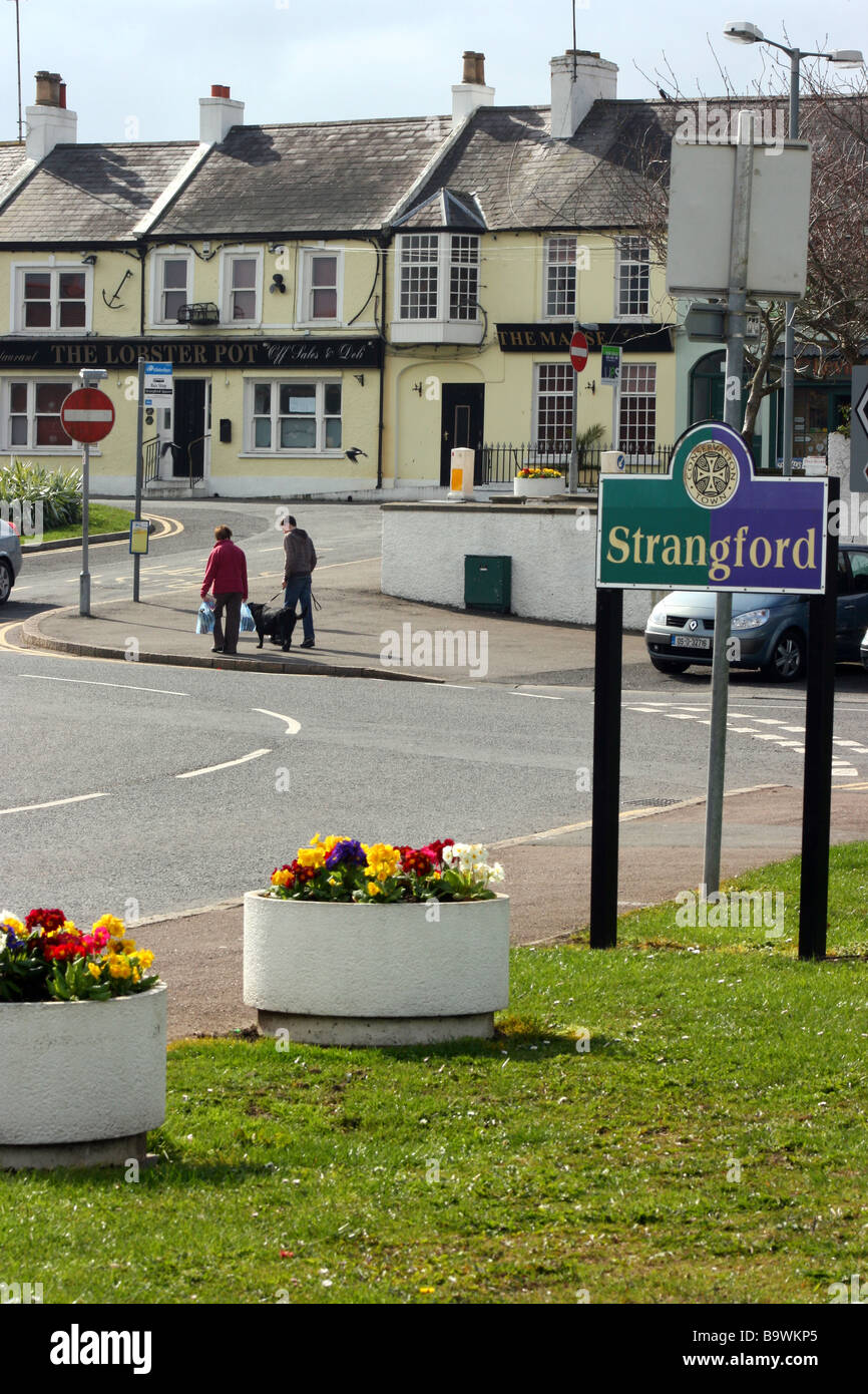 the centre of the village of Strangford in County Down, Northern ...