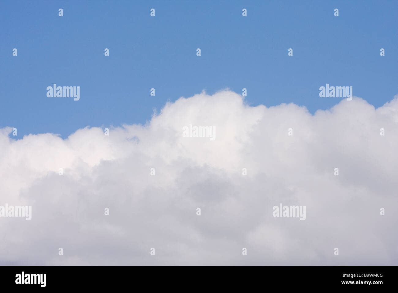 Fluffy white cloud with blue sky above in Spring Stock Photo - Alamy