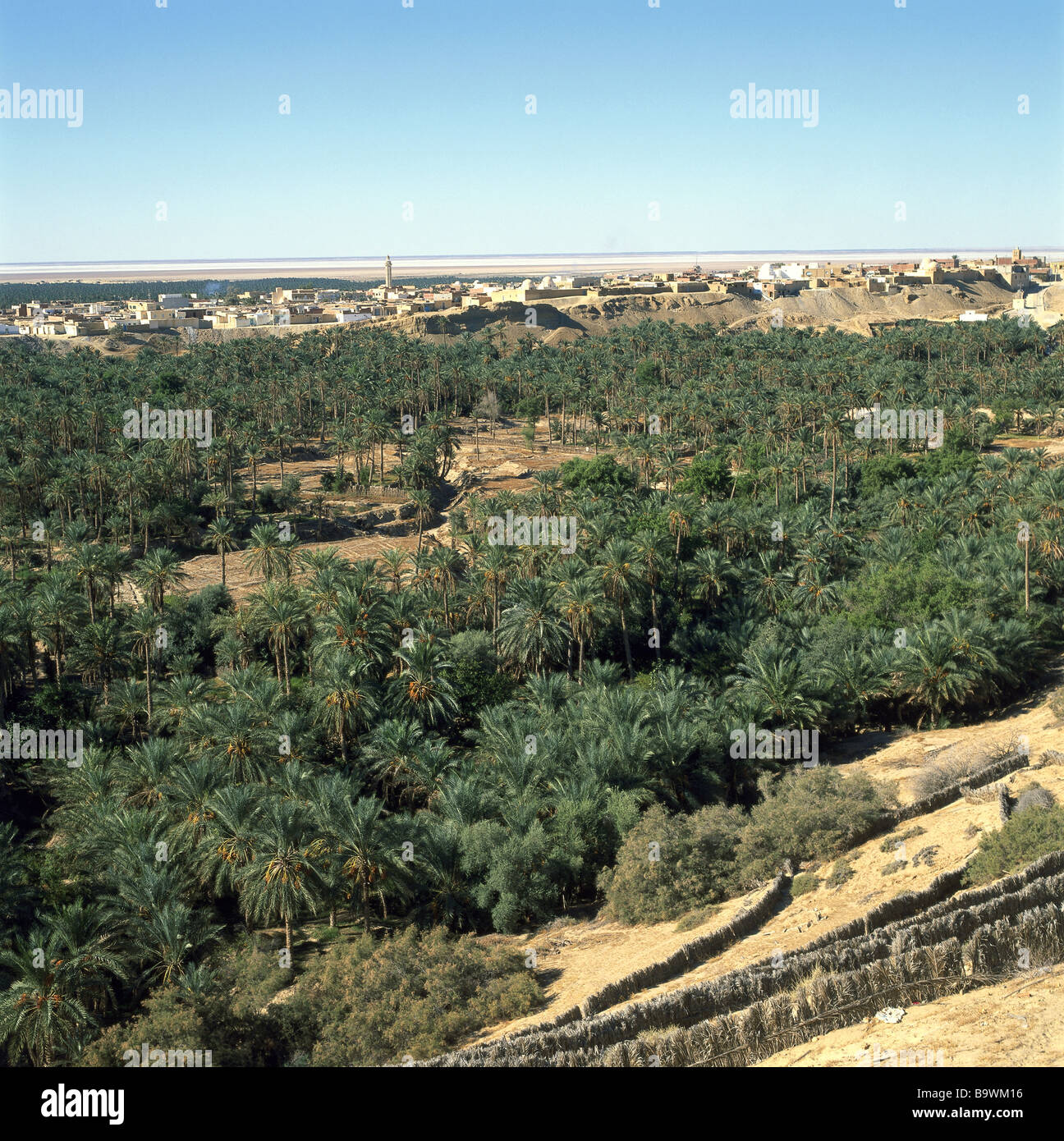 Nefta la corbeille tunisia hi-res stock photography and images - Alamy