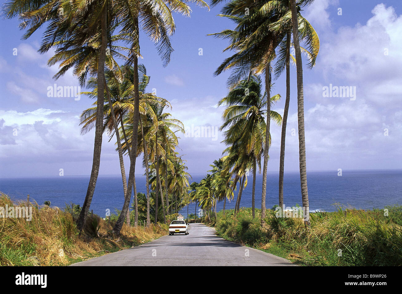 Barbados bathsheba road hi-res stock photography and images - Alamy