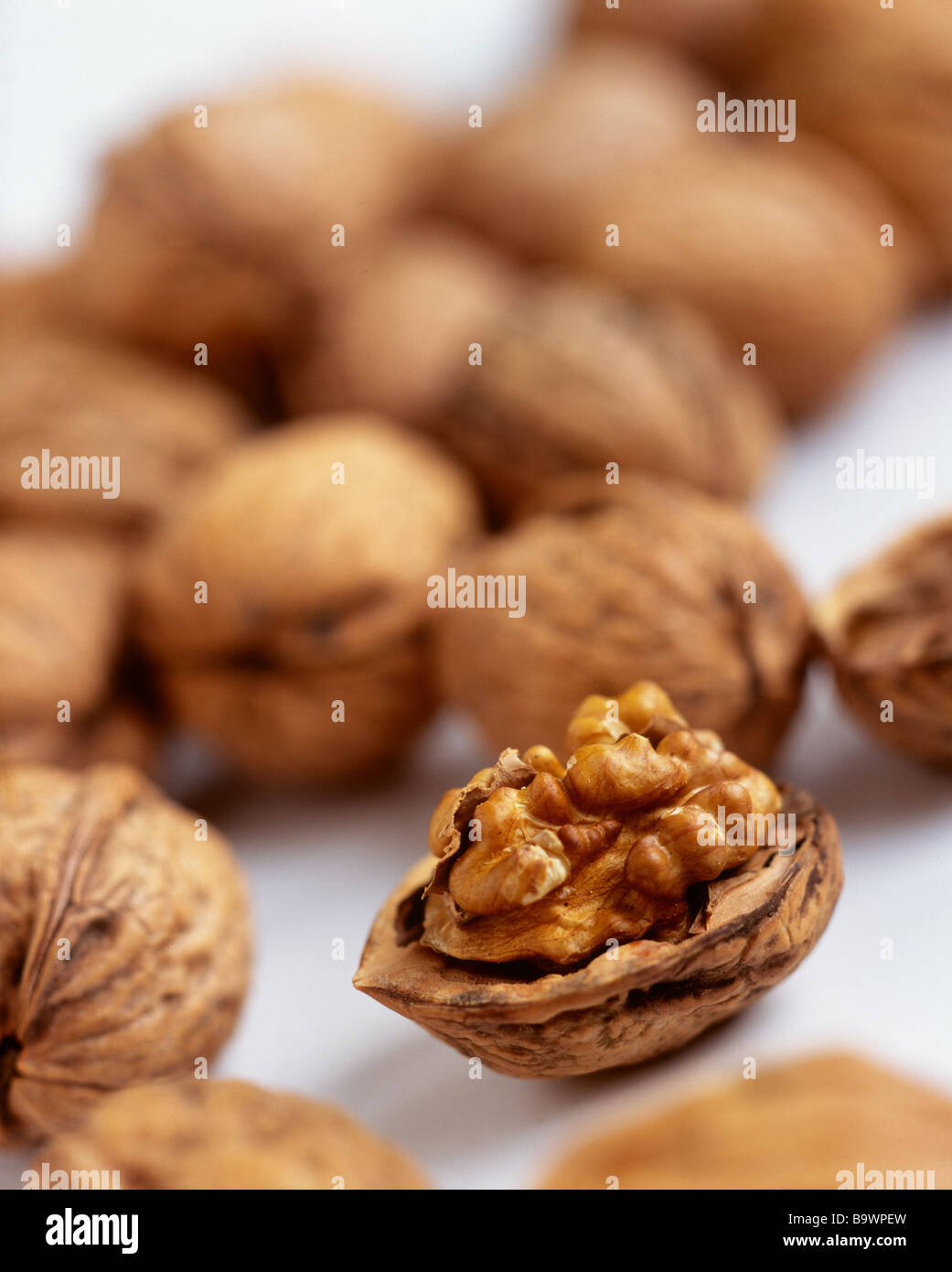 Welsche hi-res stock photography and images - Alamy