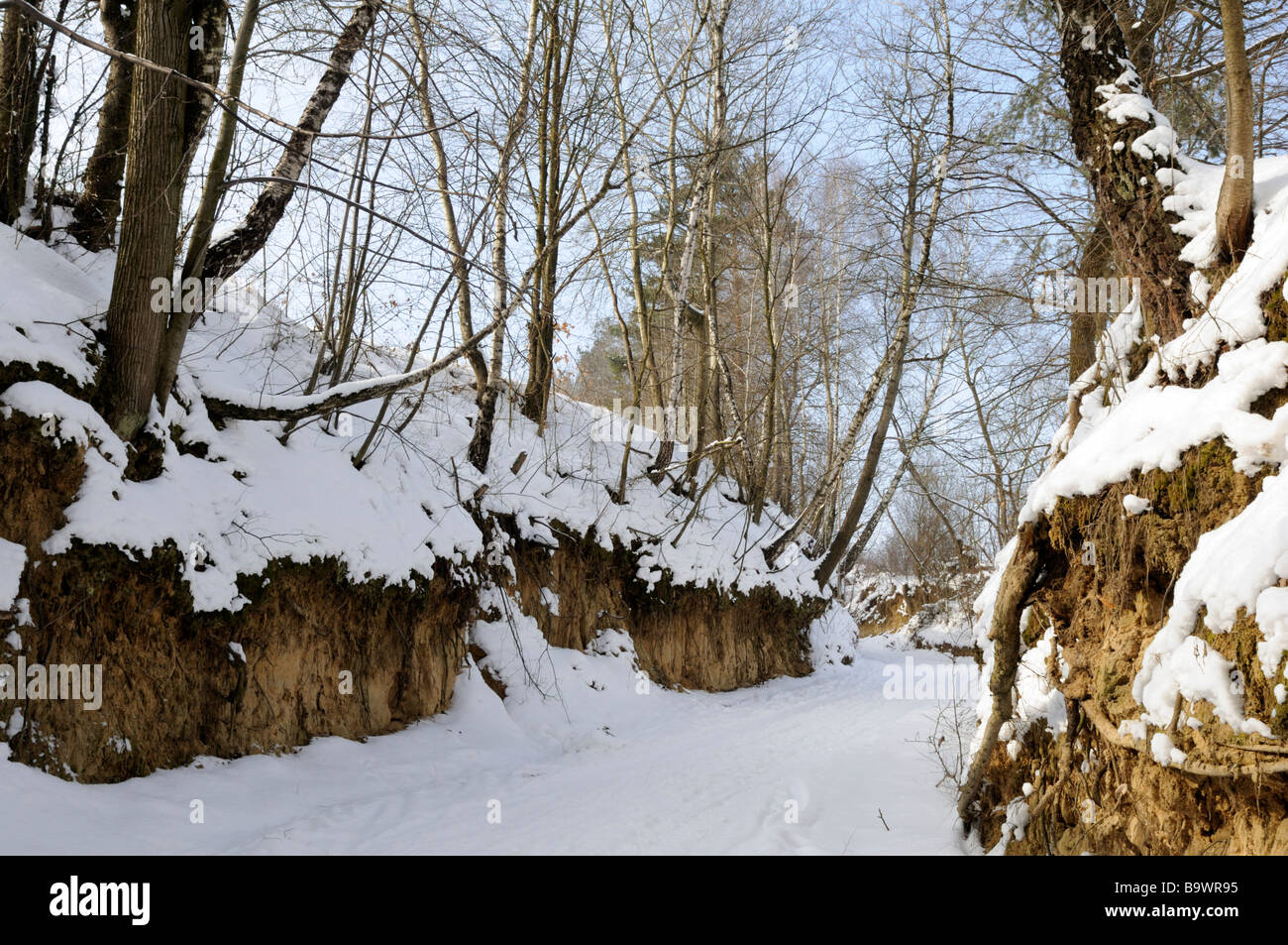 Gully near Topolcza, Roztocze Region, Poland Stock Photo - Alamy