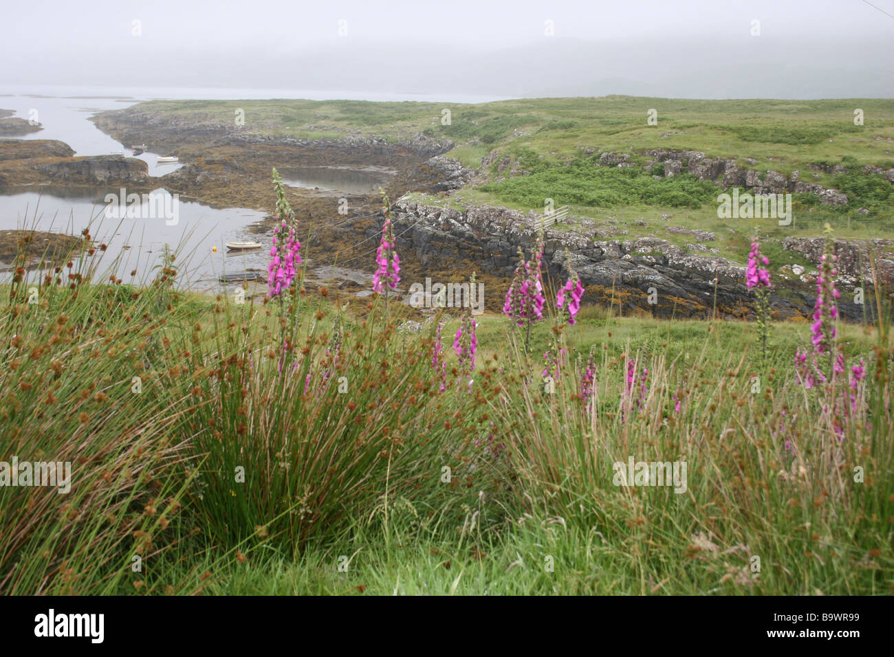 scenery scottish island of ulva Stock Photo - Alamy