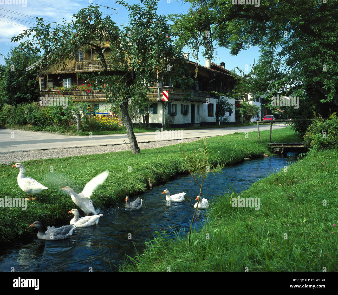 Brook farm hi-res stock photography and images - Alamy