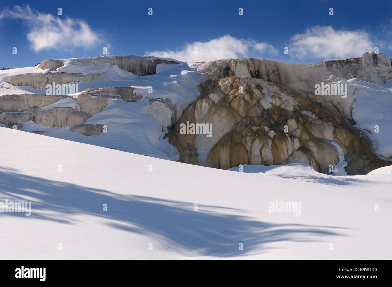 Cleopatra Terrace shapes in snow with blue sky at Mammoth Hot Springs ...