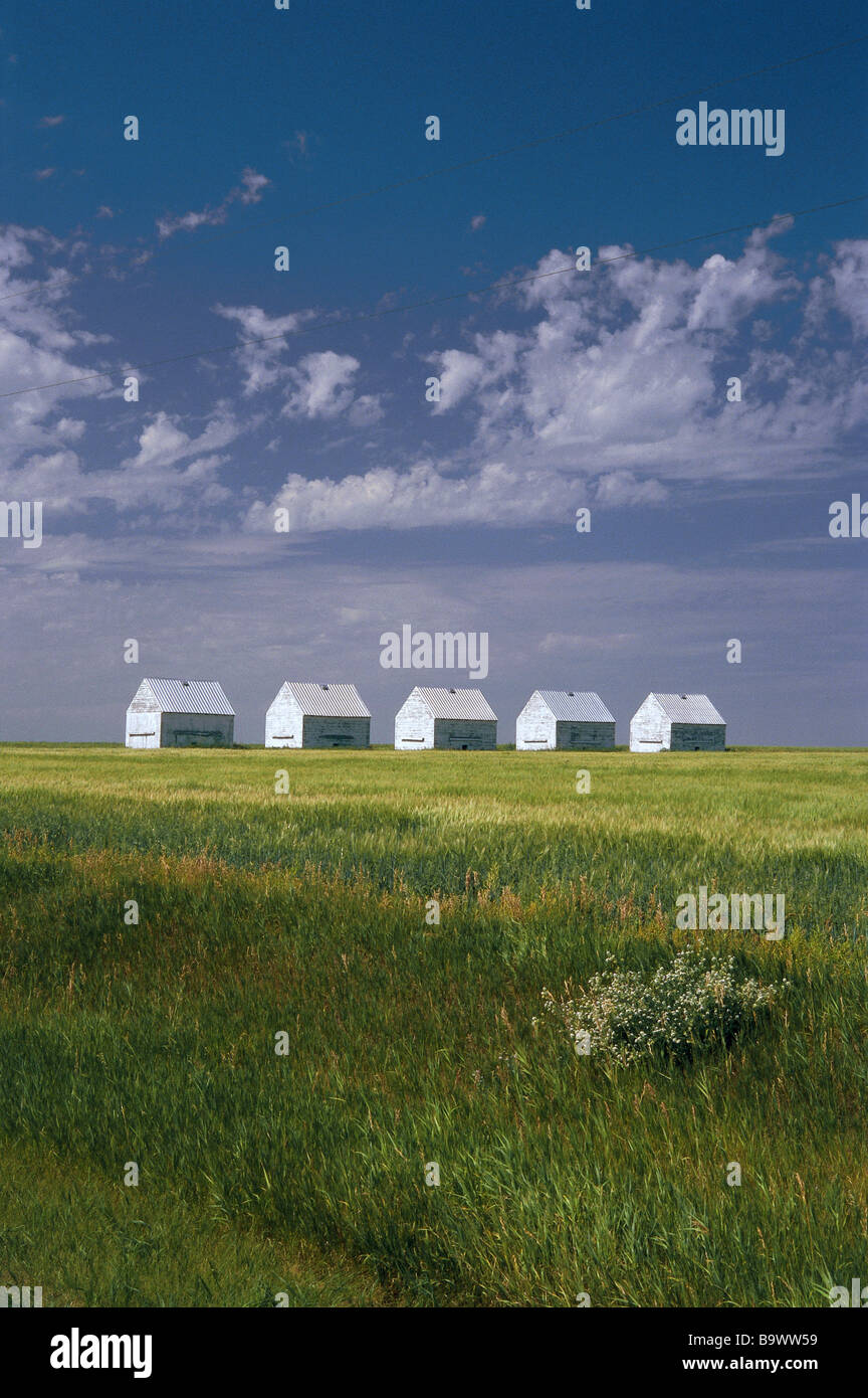 Five silos hi-res stock photography and images - Alamy