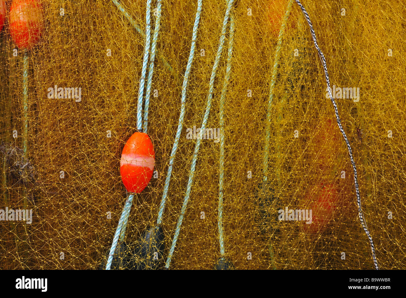 Madeleine atmosphere hi-res stock photography and images - Alamy