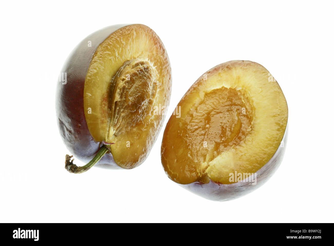 Prunus species Cut Out Stock Images & Pictures - Alamy