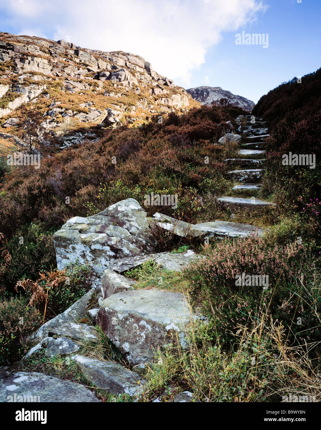 The Roman steps, The Rhinogs. Snowdonia National Park. Wales Stock ...