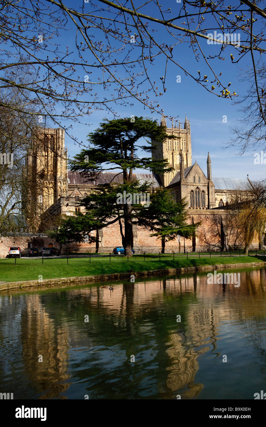 Old wells cathedral hi-res stock photography and images - Alamy