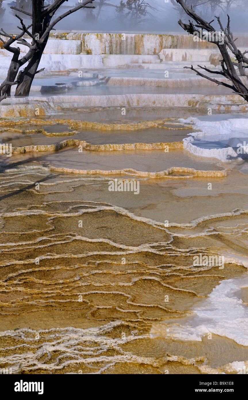 Pools of water in the mist hi-res stock photography and images - Alamy