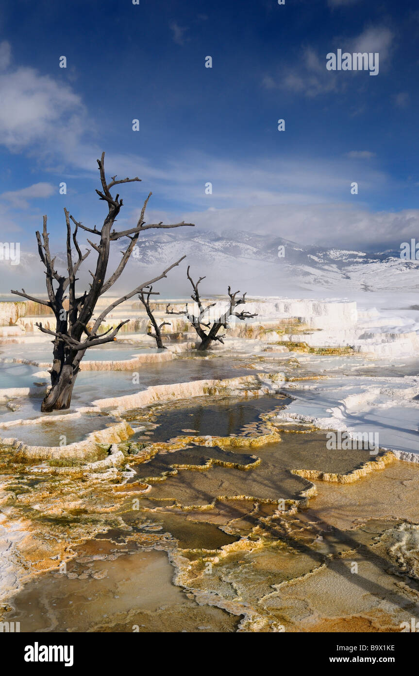 Mammoth snow hi-res stock photography and images - Alamy