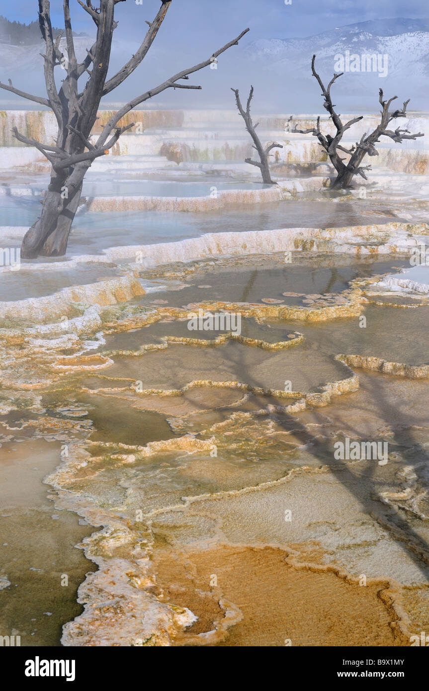 Travertine water terrace hi-res stock photography and images - Alamy