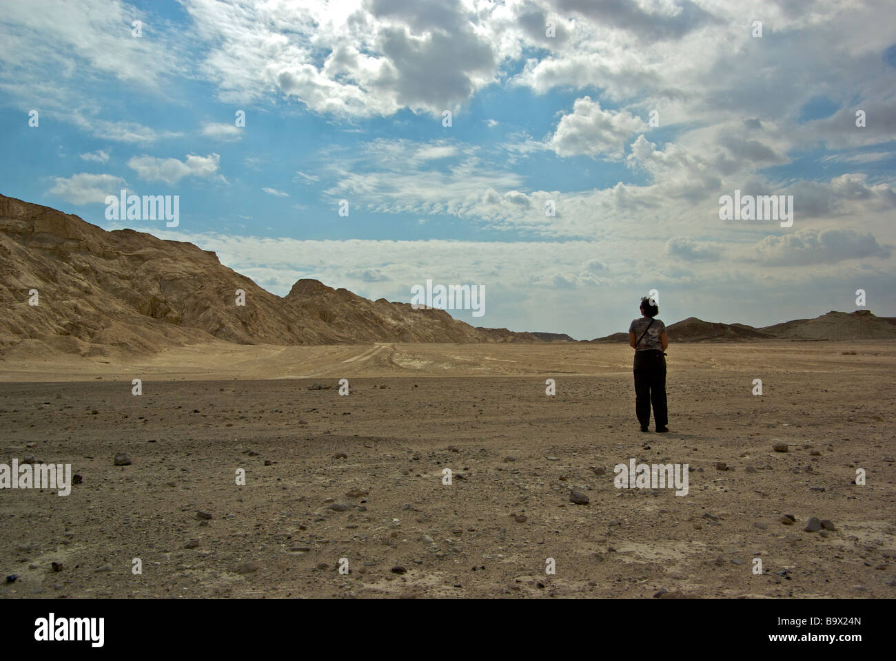 Woman looking over on the barren desolate expanse of Judean Desert a ...
