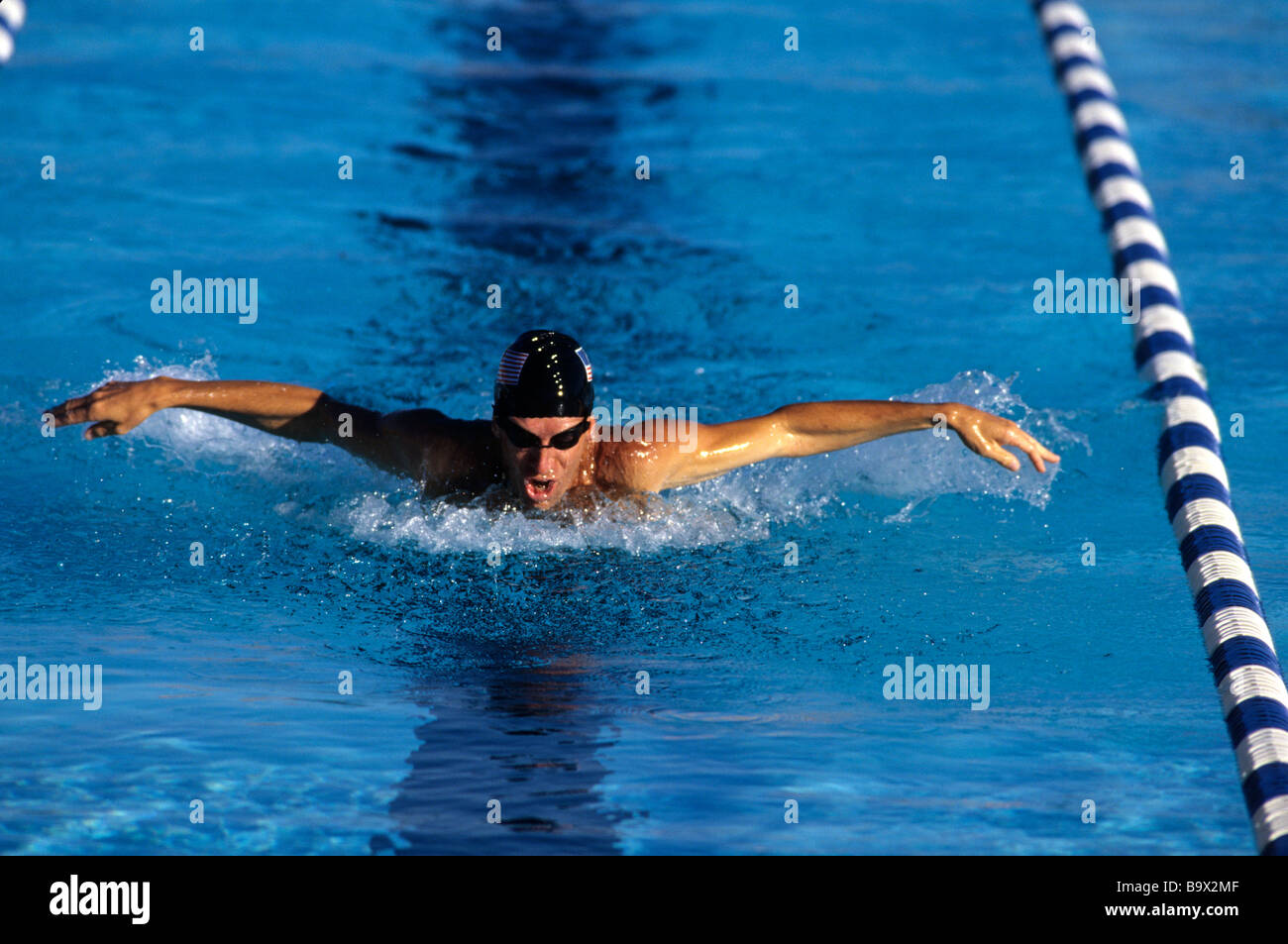 Swimmer competing in a butterfly race Stock Photo - Alamy