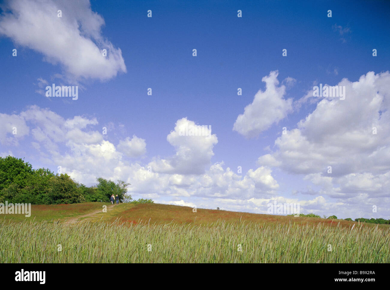 Colony edge of footpath hi-res stock photography and images - Alamy