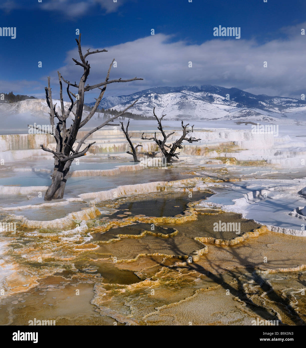 Travertine Pools Yellowstone