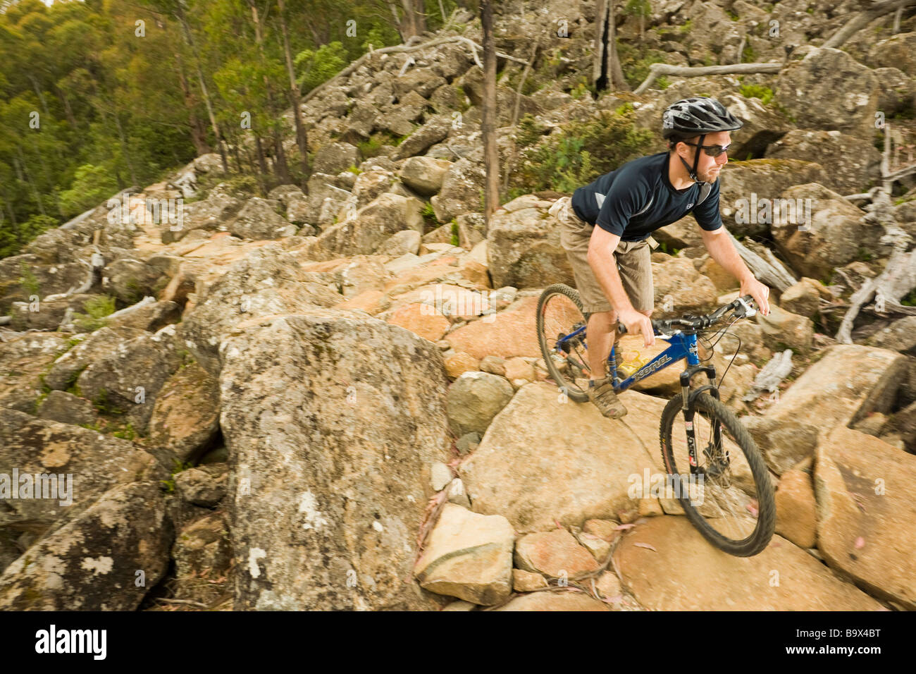 A mountain biker rides over a rock track Stock Photo - Alamy