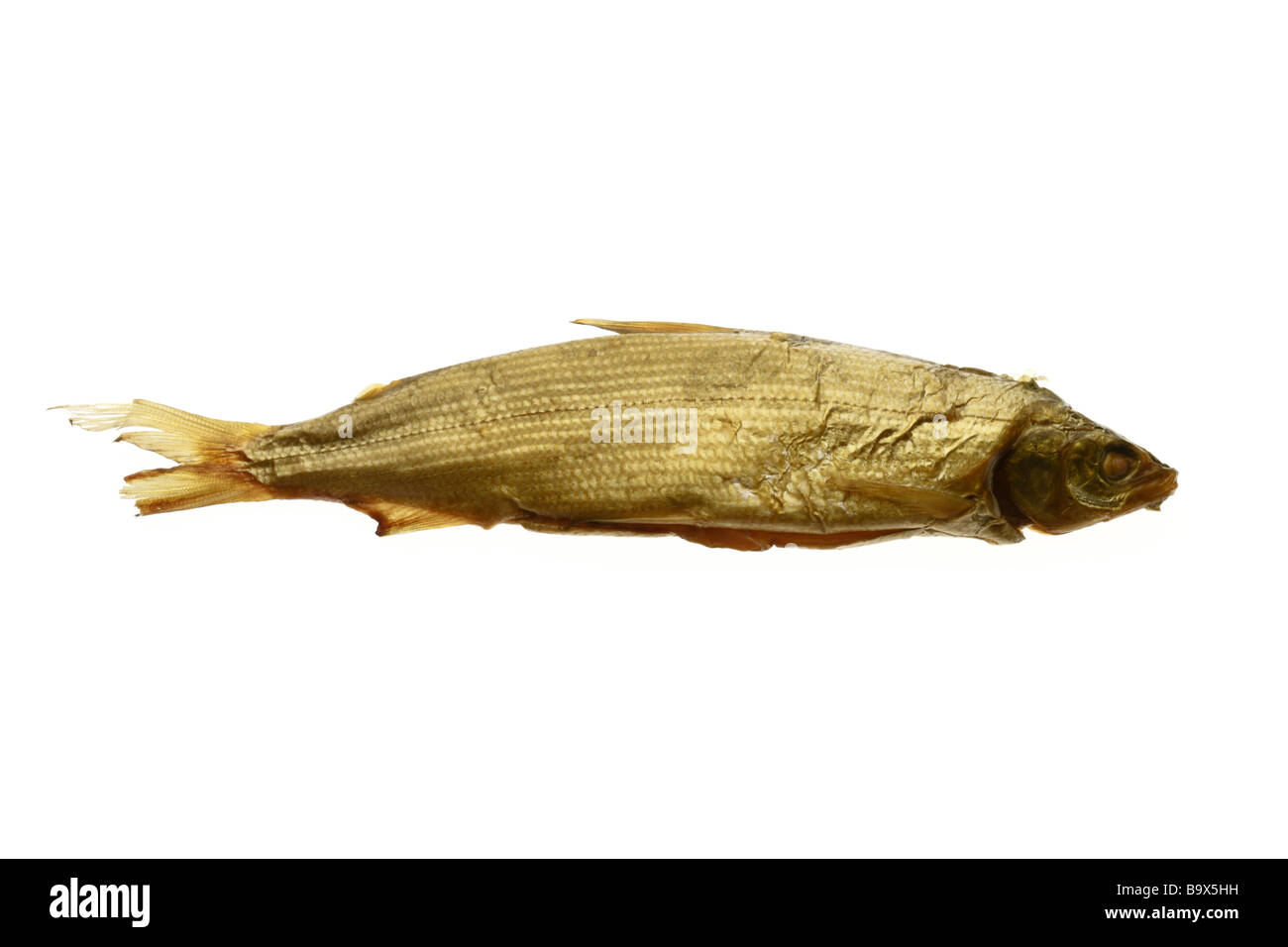 Fish court hi-res stock photography and images - Alamy