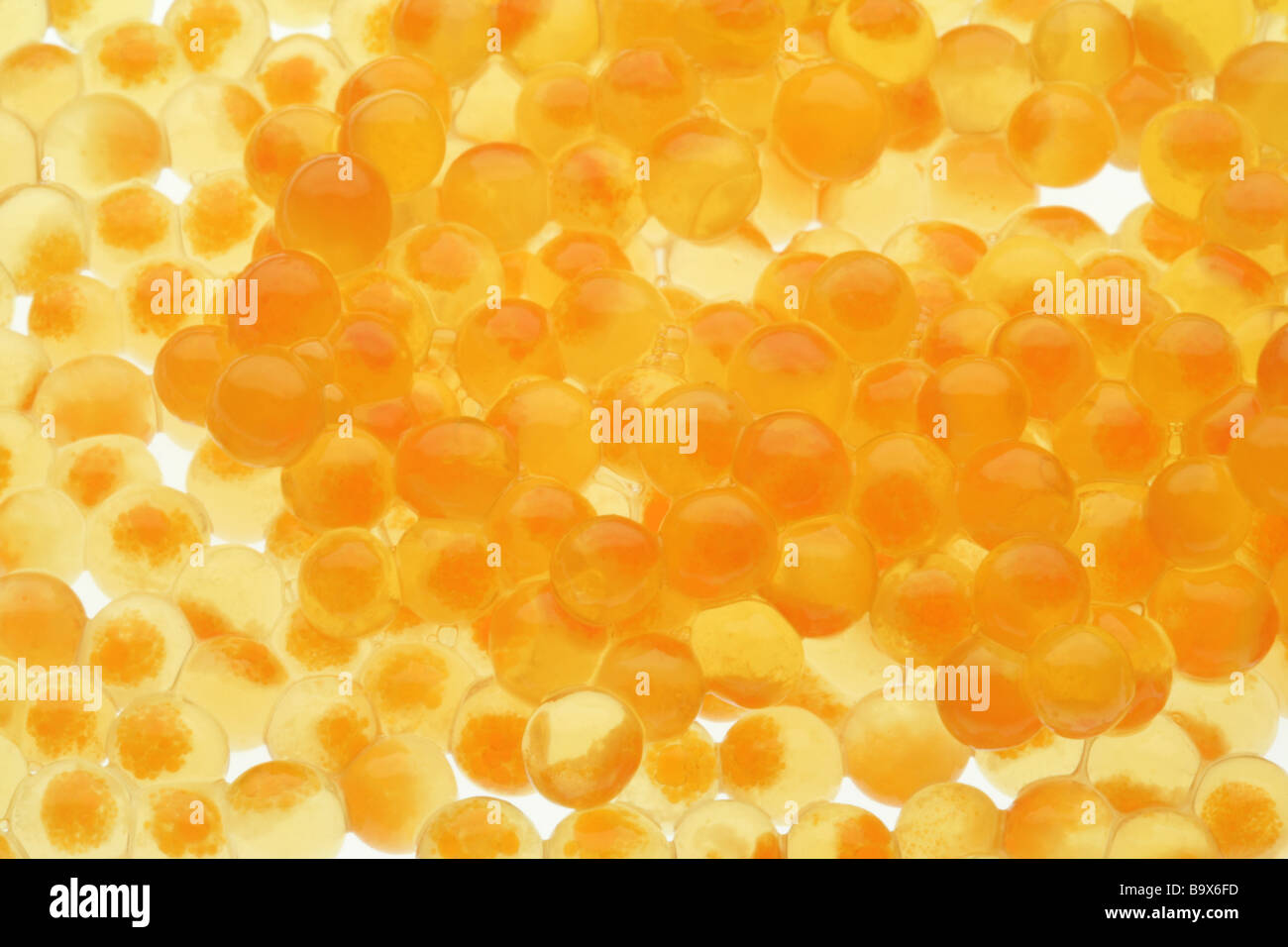 Fischlaich hi-res stock photography and images - Alamy