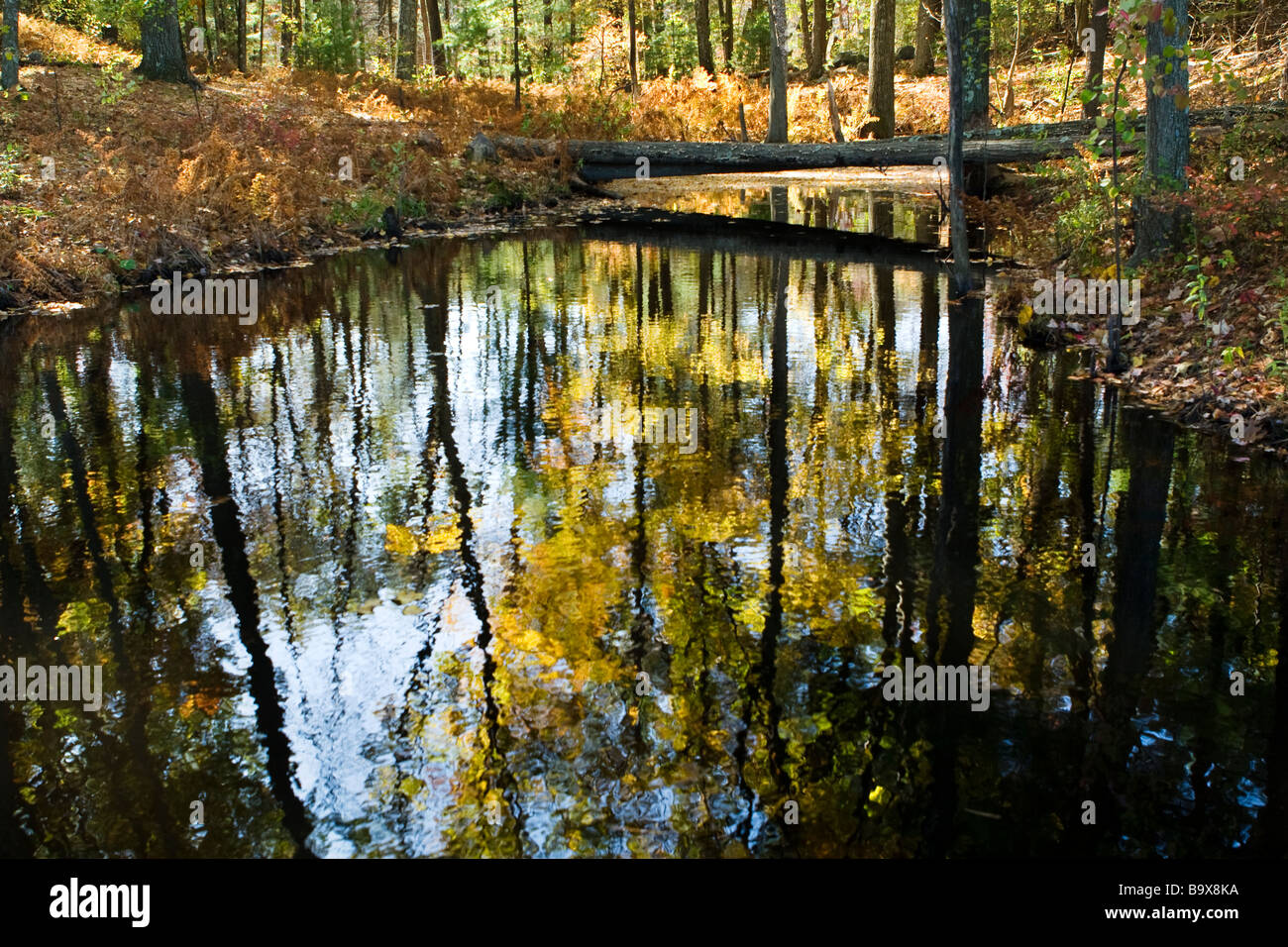 New England Pond High Resolution Stock Photography and Images - Alamy