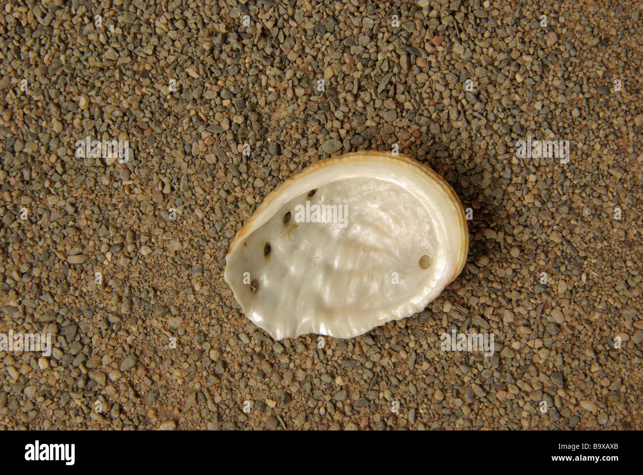 Varia hi-res stock photography and images - Alamy