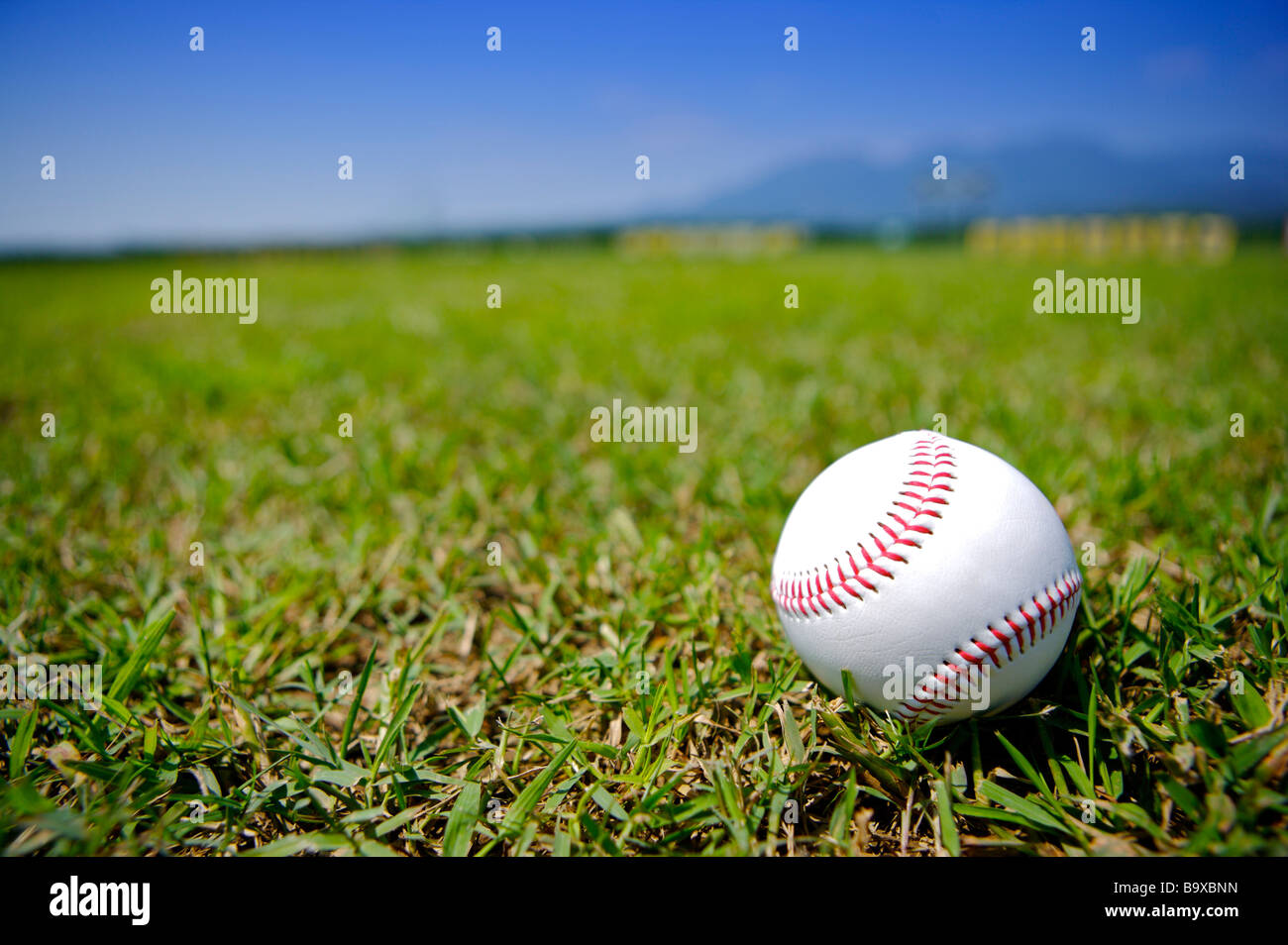 Baseball on grass Stock Photo - Alamy