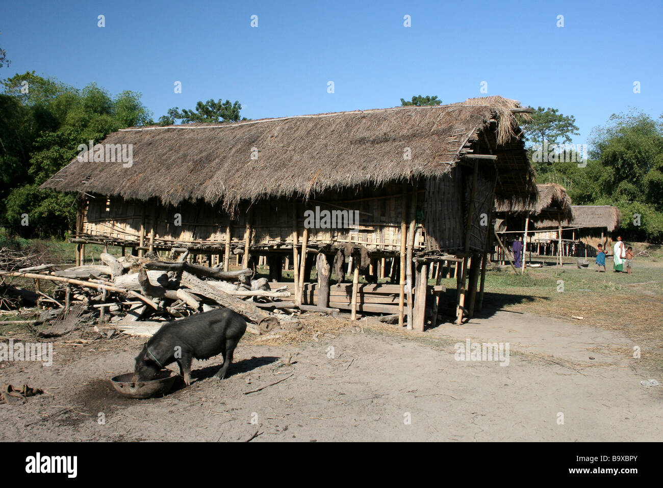 Traditional Village Scene and Stilt Houses of the Mishing Tribe Stock Photo - Alamy