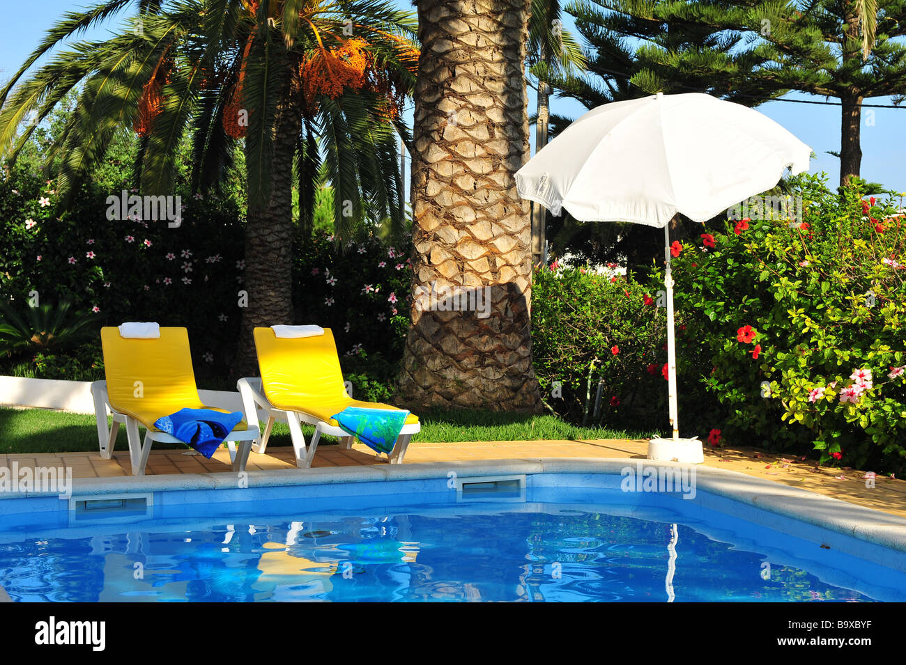 Swimming pool with sun loungers and parasol Stock Photo - Alamy