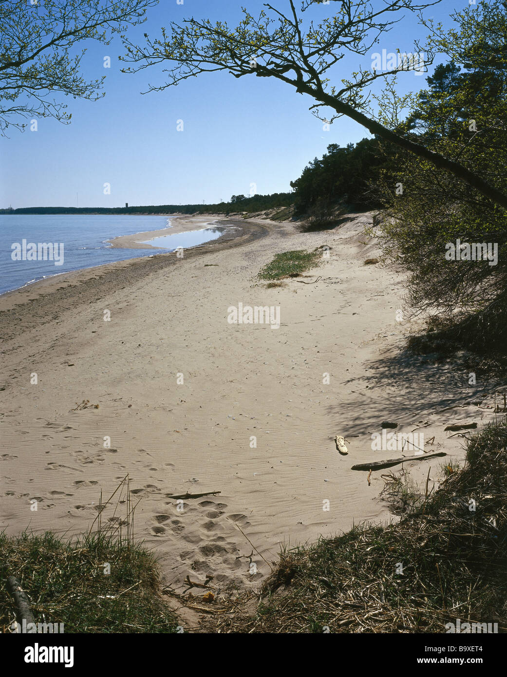 Osel island hi-res stock photography and images - Alamy