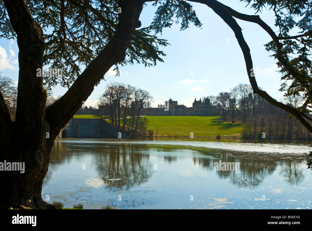 Blenheim park hi-res stock photography and images - Alamy