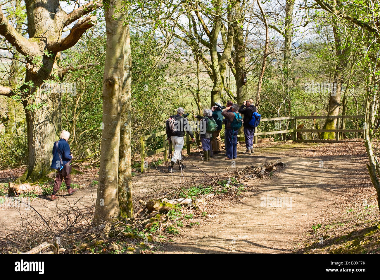 Group of mature bird watchers in woods at RSPB Pulborough Brooks Nature ...