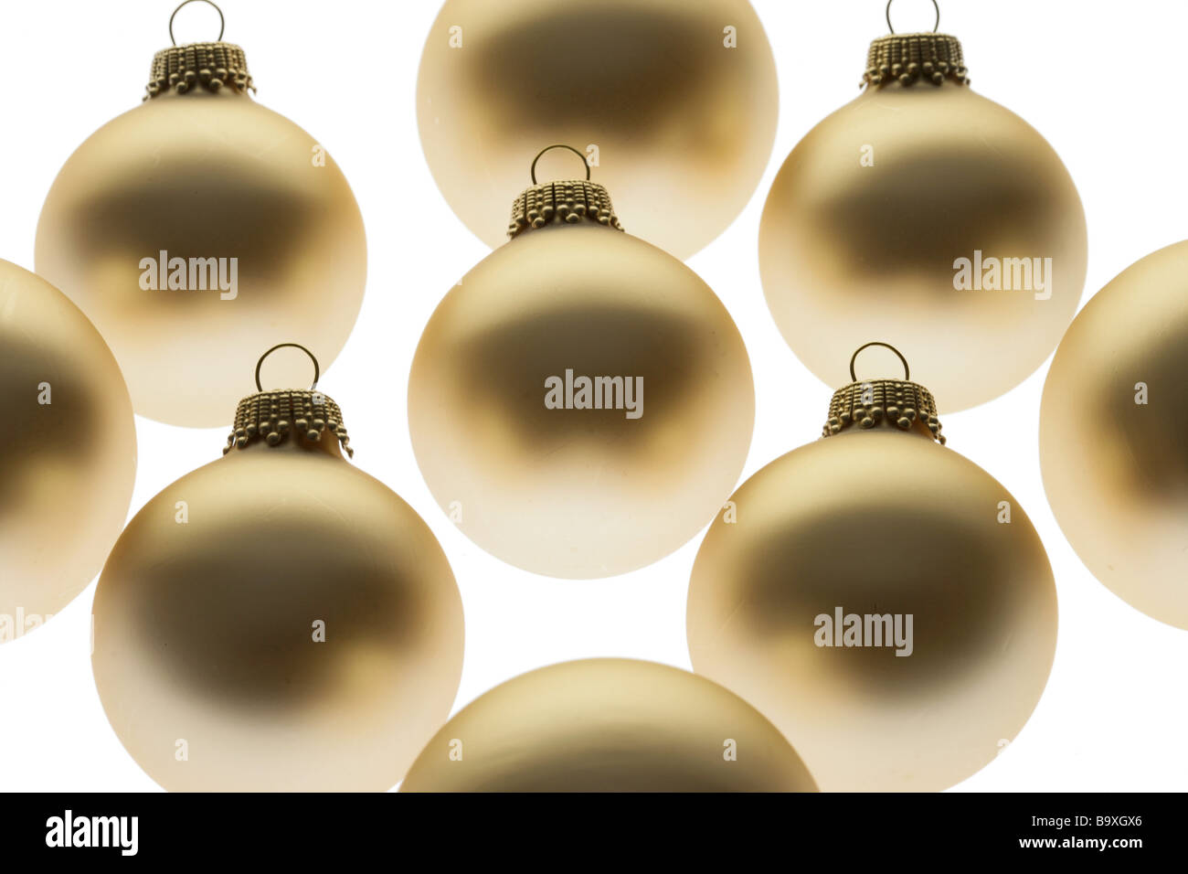 Truncated tree hi-res stock photography and images - Alamy