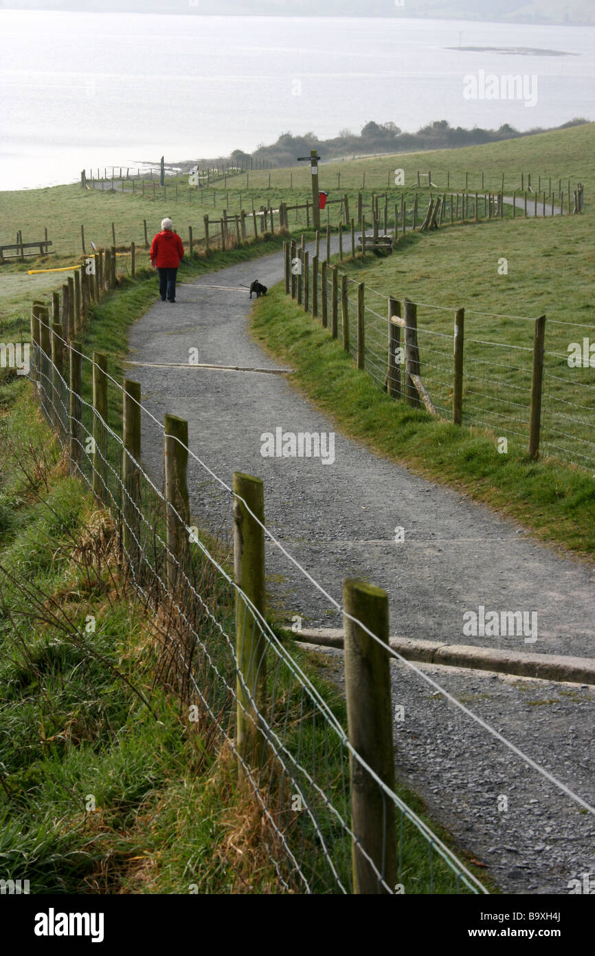 Delamont country park strangford lough hi-res stock photography and ...