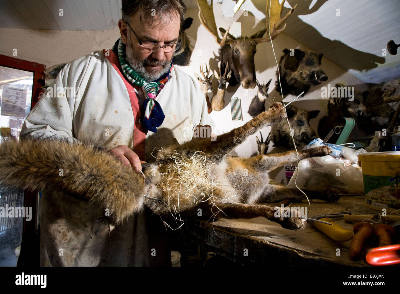Straw stuffing hi-res stock photography and images - Alamy