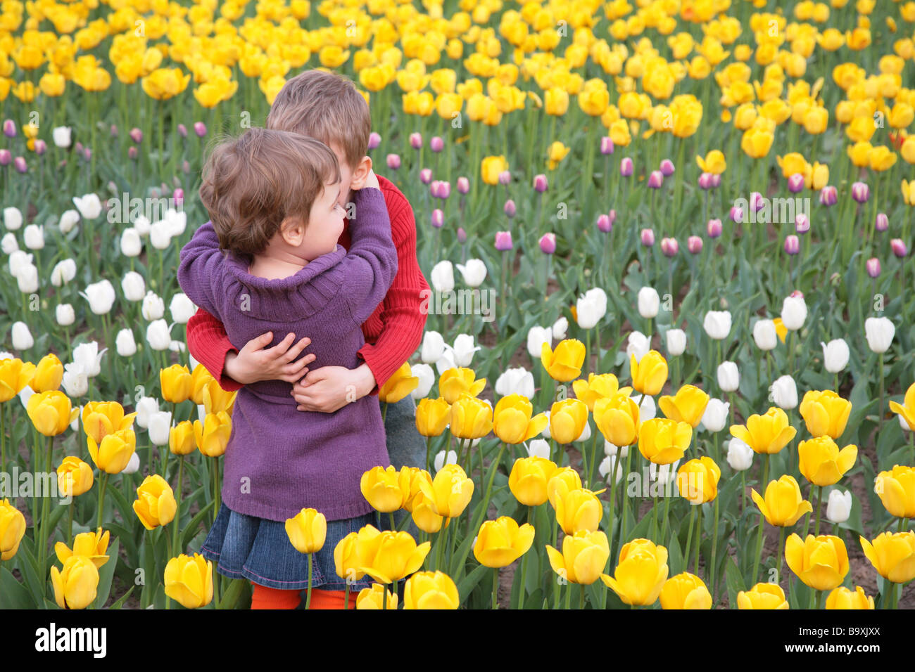 Children embrace each other on field of tulips Stock Photo - Alamy