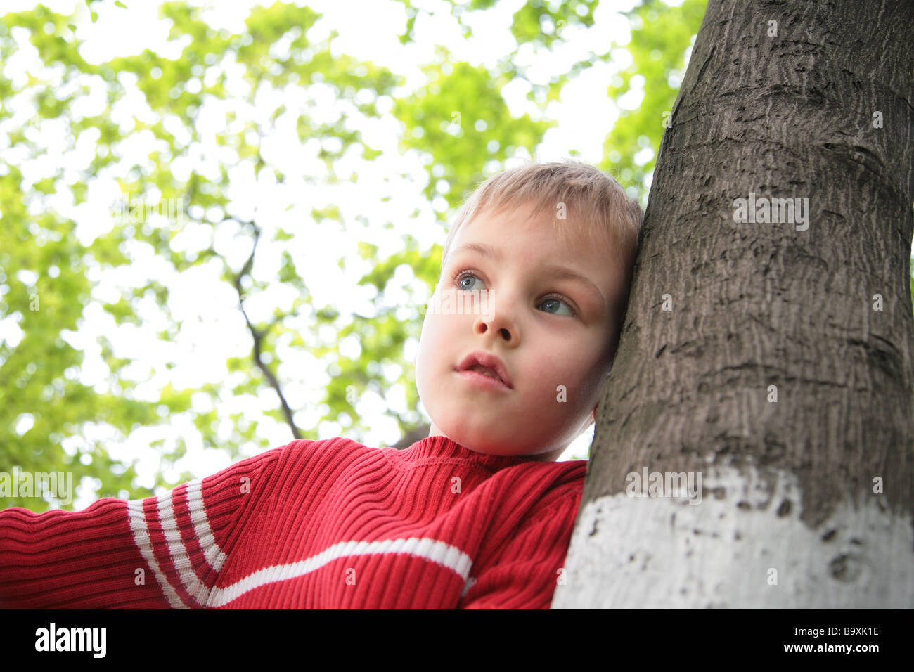 boy and tree Stock Photo - Alamy