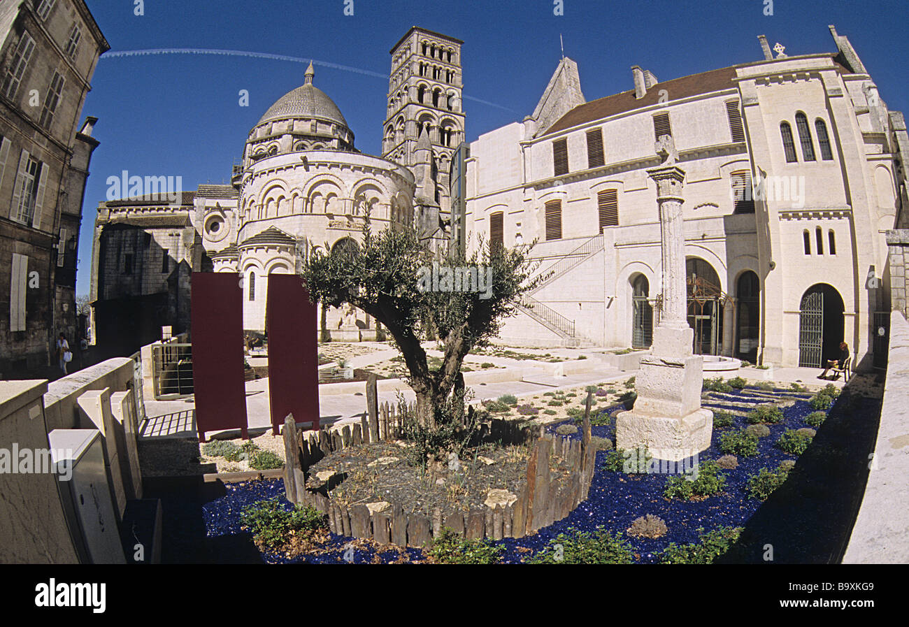 Olive tree ultra wide angle lens hi-res stock photography and images ...